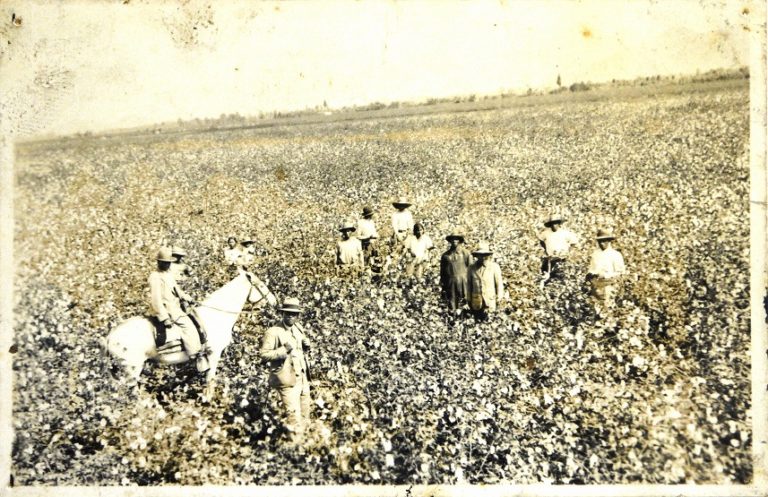 en1_11 – 海外移住資料館 Japanese Overseas Migration Museum