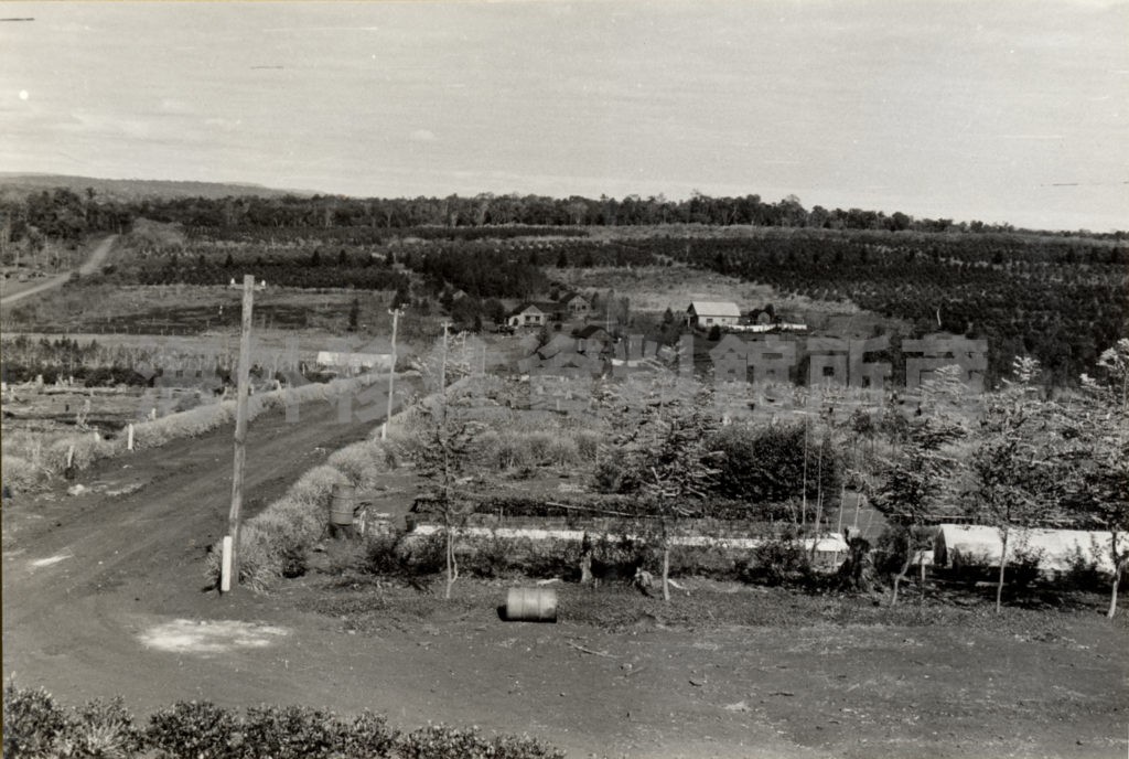 ar-37 – 海外移住資料館 Japanese Overseas Migration Museum